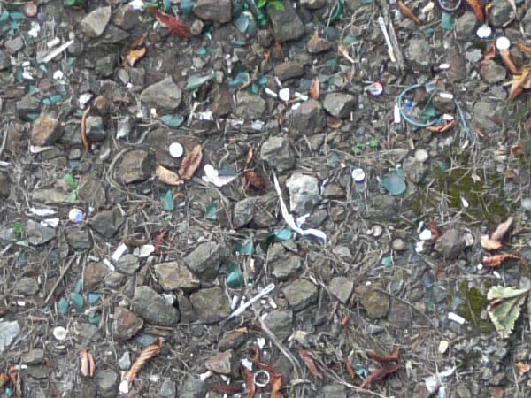 garbage on the ground texture 0001 - Texturelib